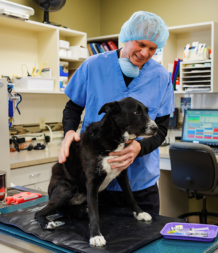 AAHA - Vet in Prior Lake | River Valley Veterinary Service
