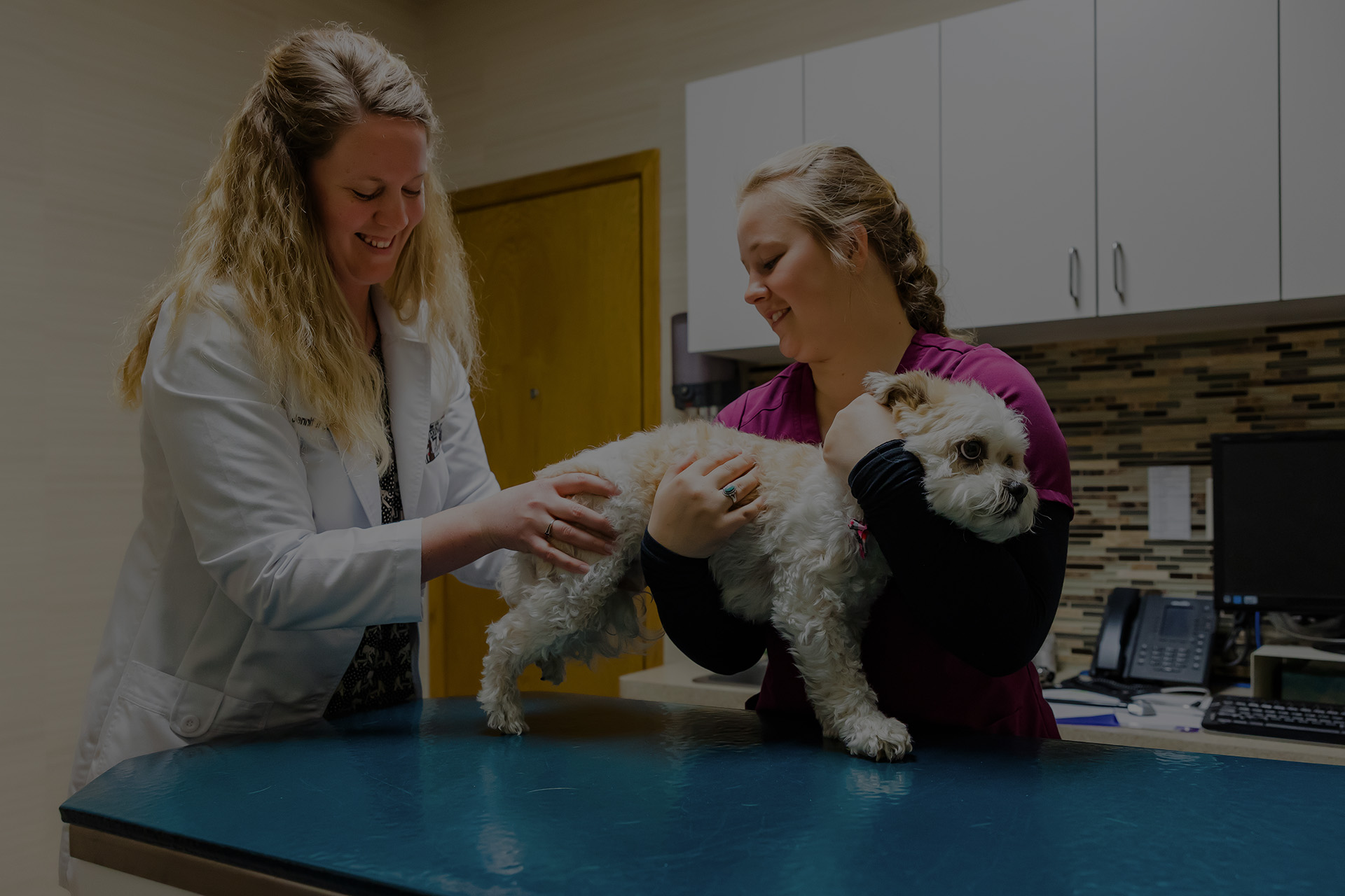 Veterinarian in Prior Lake | Vets Near Me | River Valley Veterinary Service